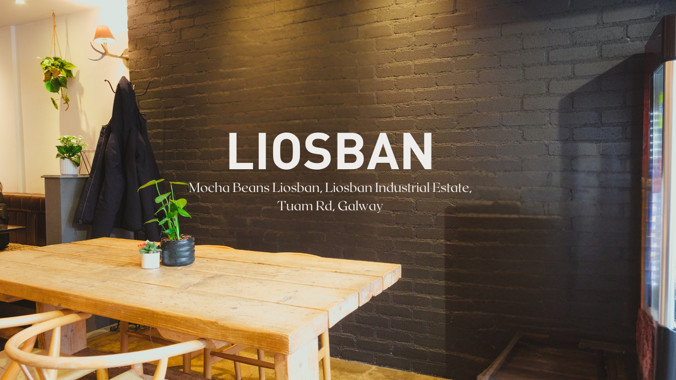 Mocha Beans: Coffee Roastery & Café Locations in Galway